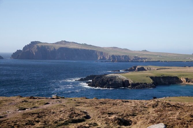 Half Day Private Tour to Dingle Peninsula and Slea Head - Customer Reviews and Feedback
