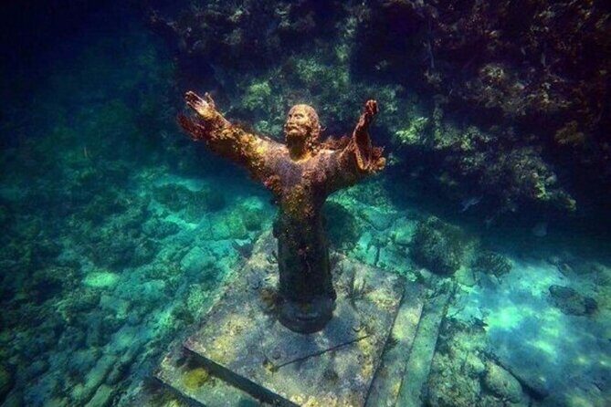 Half Day Private Tour to Islamorada Alligator Reef and Sandbar - The Experience: What Travelers Can Expect