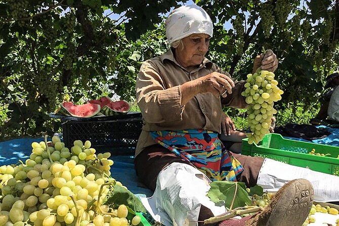Half Day Private Tour to Khor Virap - Scenic Backdrop
