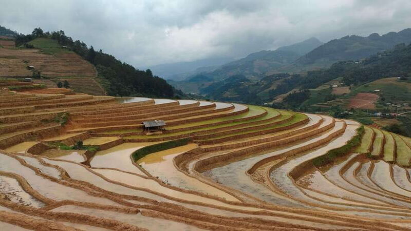 Half Day Private Trekking Mu Cang Chai_Morning or Afternoon - The Sum Up