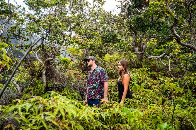 Half Day Private VIP Road to Hana Tour - Final Thoughts