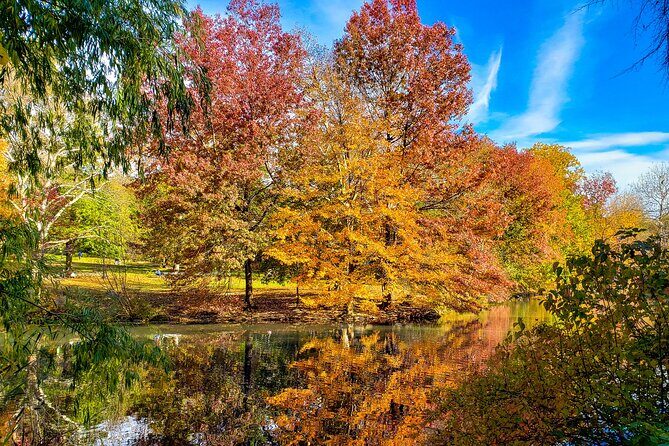 Half-Day Private Walking Tour of Central Park - A Closer Look at the Tour Experience