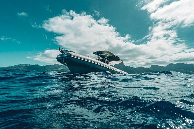 Half Day Private Whale Watching in Moorea - An Overview of the Private Whale Watching Experience in Moorea