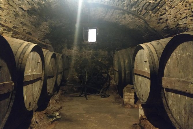 Half Day Private Wine & Oil Tasting Tour near Barcelona with hotel pick up - Olive Oil and the Heart of Catalan Culture