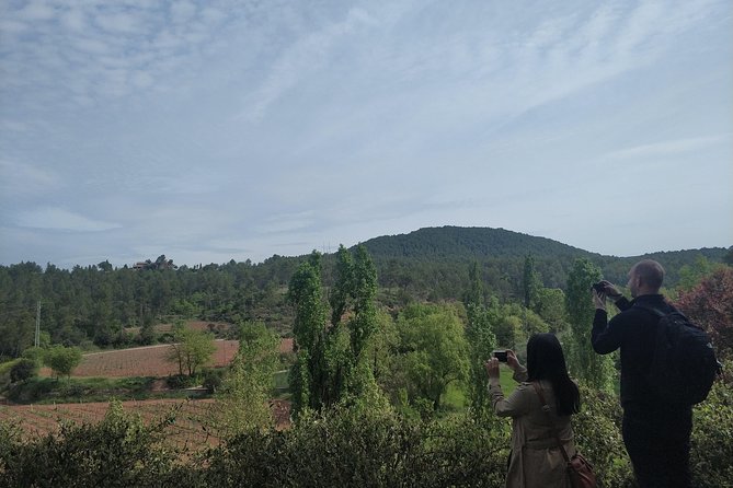 Half Day Private Wine & Oil Tasting Tour near Barcelona with hotel pick up - Who Will Love This Tour?