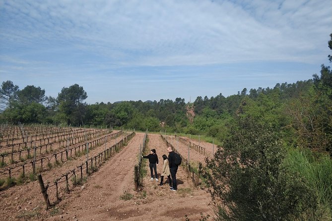 Half Day Private Wine & Oil Tasting Tour near Barcelona with hotel pick up - FAQs