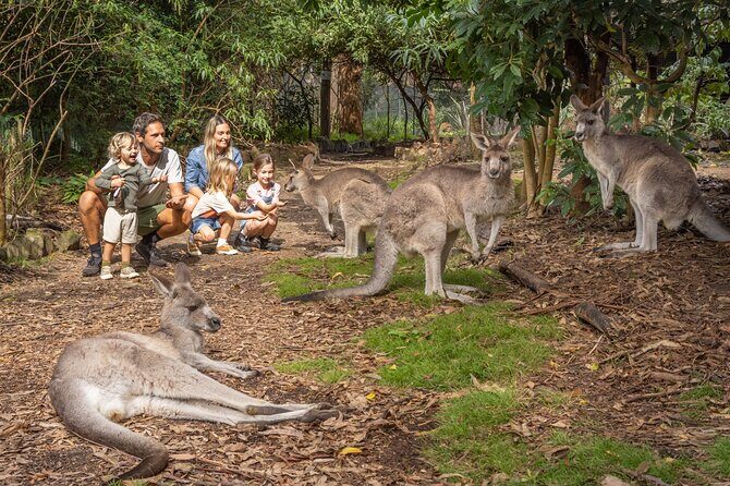 Half Day Private Wine Tasting Tour in Orange NSW - The Sum Up
