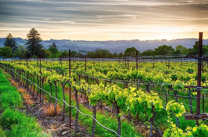 Half Day Private Woodinville Wine Tour from Seattle - Who will love this tour?