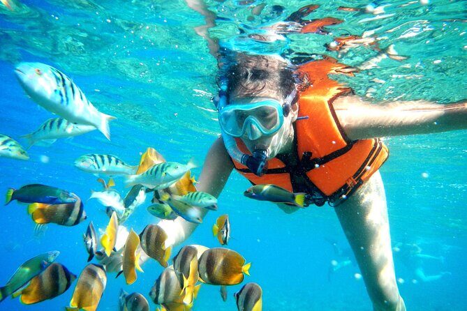 Half-Day Puerto Morelos Snorkeling Experience with Lunch - An In-Depth Look at the Experience
