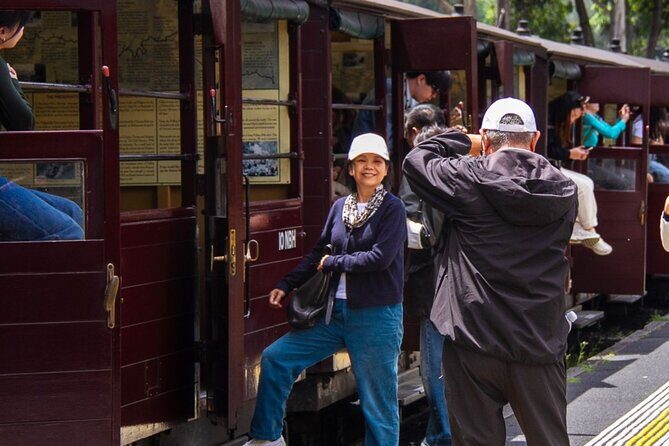 Half-Day Puffing Billy Steam Train Experience w optional Penguins - Optional Penguin Parade and Additional Activities