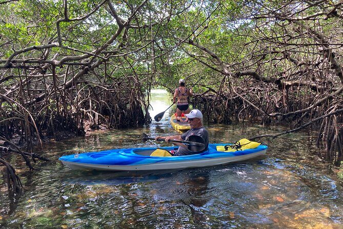 Half Day Rental to John's Pass Sandbar & Mangrove Tunnel - Key Points