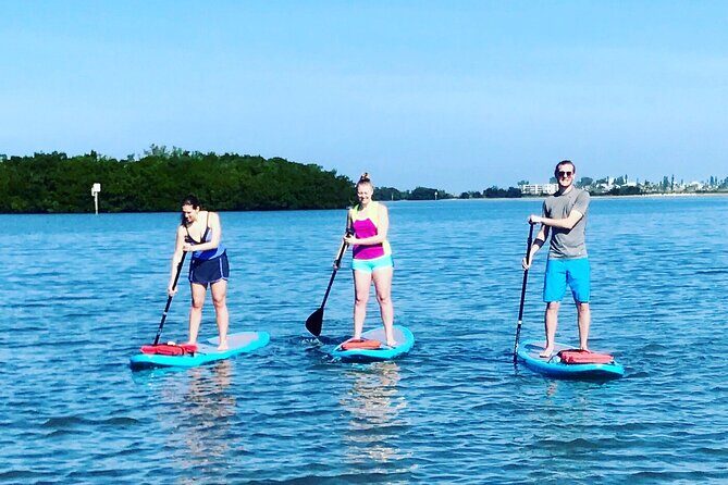 Half Day Rental to John's Pass Sandbar & Mangrove Tunnel - The Itinerary in Detail