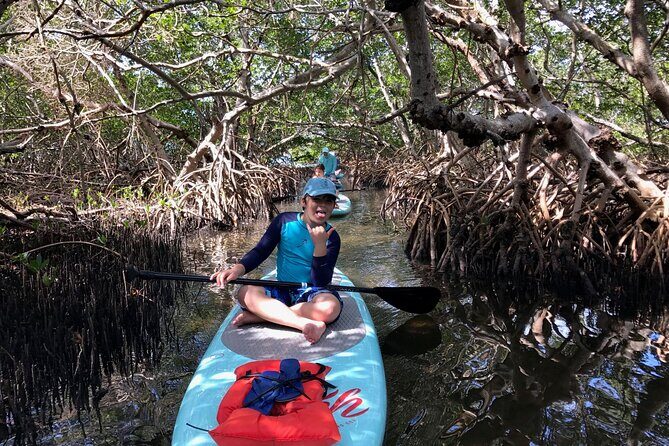 Half Day Rental to John's Pass Sandbar & Mangrove Tunnel - Review Insights and Real Traveler Experiences