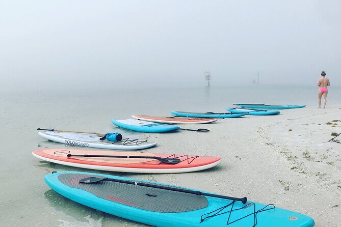 Half Day Rental to John's Pass Sandbar & Mangrove Tunnel - Practical Tips for a Great Experience