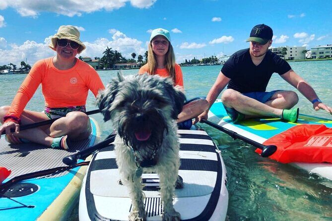 Half Day Rental to John's Pass Sandbar & Mangrove Tunnel - FAQs