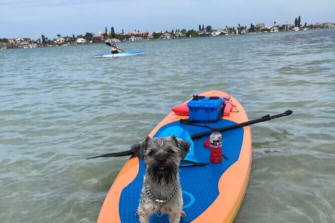 Half Day Rental to John's Pass Sandbar & Mangrove Tunnel - Final Thoughts