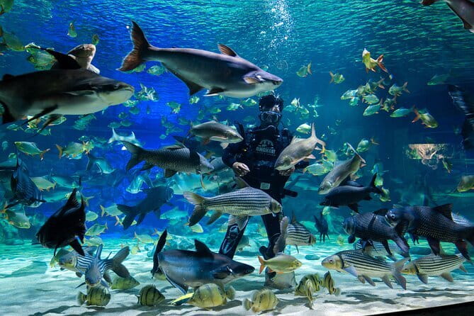 Half Day River Monster Tour with Private Guide in Siem Reap - Key Points