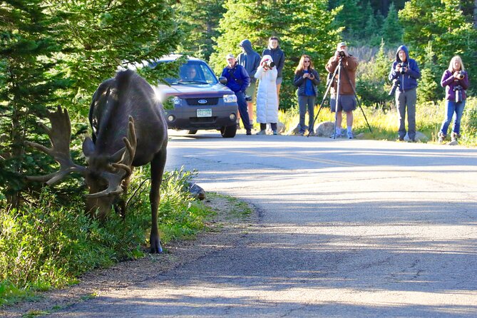 Half-Day Rocky Mountain National Park Mountains to Sky Tour - RMNPhotographer - Frequently Asked Questions