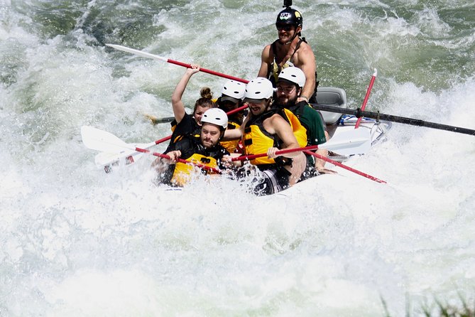 Half Day Rogue River White Water (Class I- IV) - The Sum Up