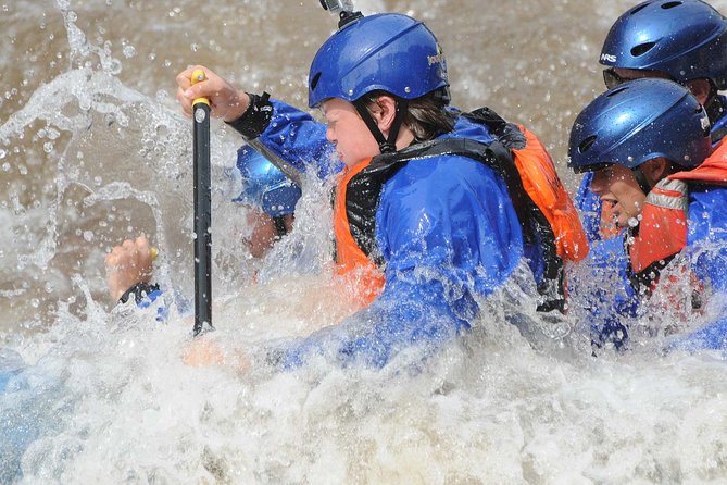 Half-Day Royal Gorge Whitewater Rafting Adventure Cañon City CO - Key Points