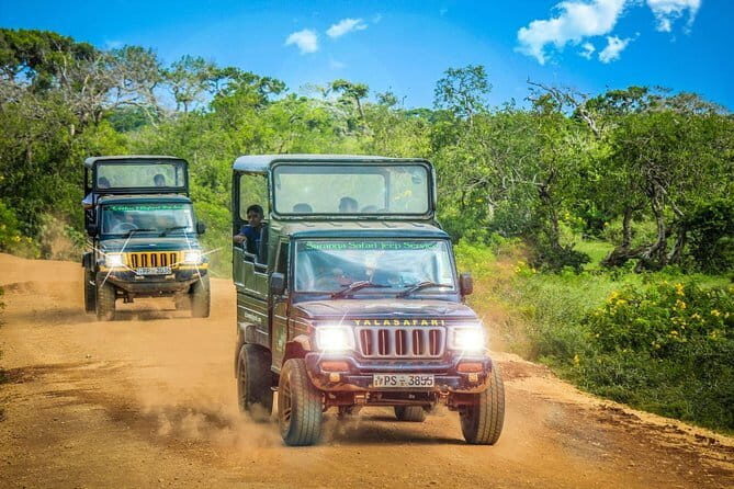 Half Day Safari at Yala National Park From Hambantota - The Bottom Line: Is it Worth It?