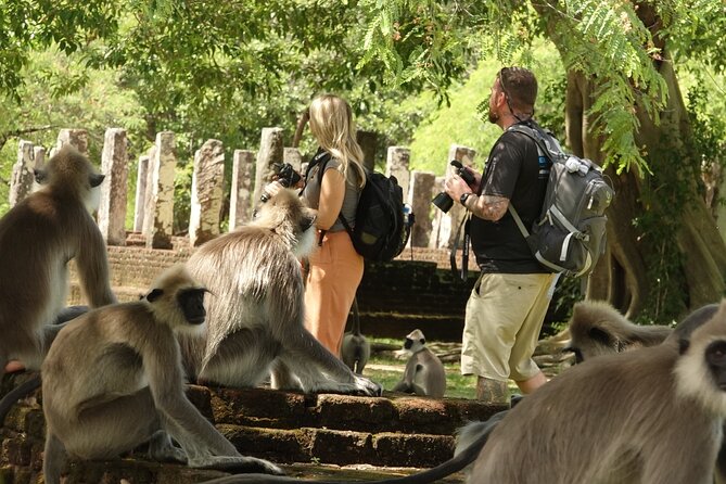 Half Day Safari Guided Tour - The Sum Up