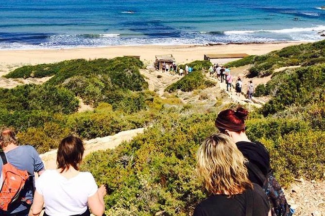 Half Day Safari Tour to Akamas Peninsula From Paphos - Tour Overview