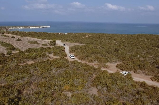 Half Day Safari Tour to Akamas Peninsula From Paphos - Health and Safety Information