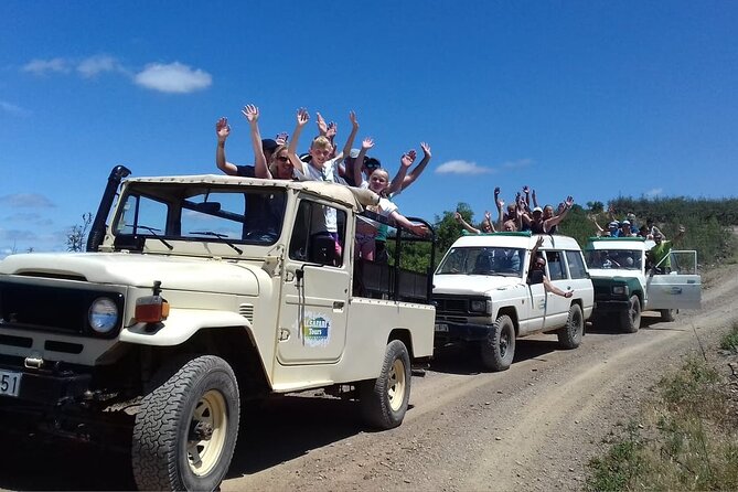 Half Day Safari Tour With Wine Tasting Review - Recommendations for Improvement