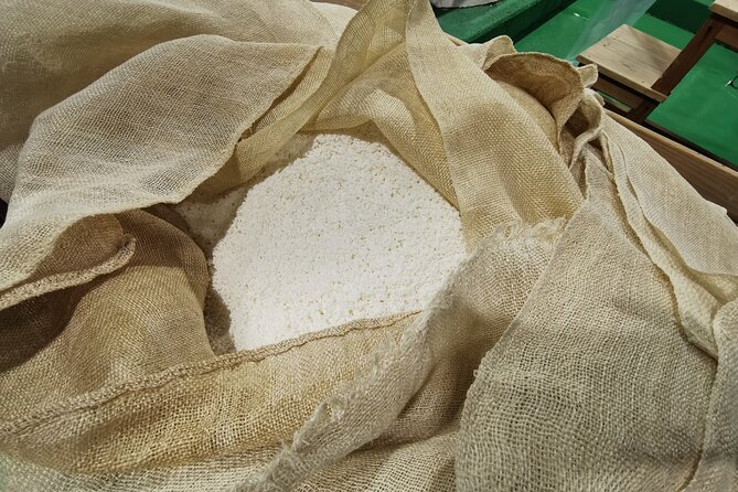 Half-Day Saijo Tour Sake Tasting and Brewery Tour in Hiroshima - Reviews and Ratings