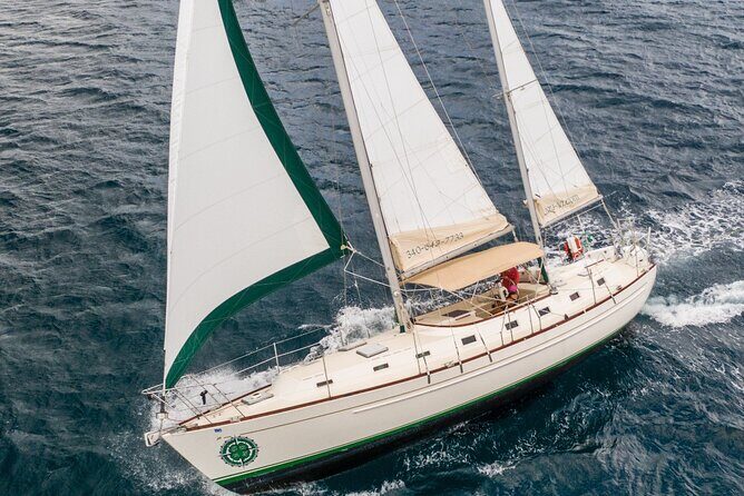 Half Day Sail and Snorkel with the Turtles - Discovering the Tour: What to Expect from Start to Finish