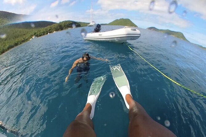 Half Day Sail to Lime Out St. Thomas with Gourmet Tacos - Key Points