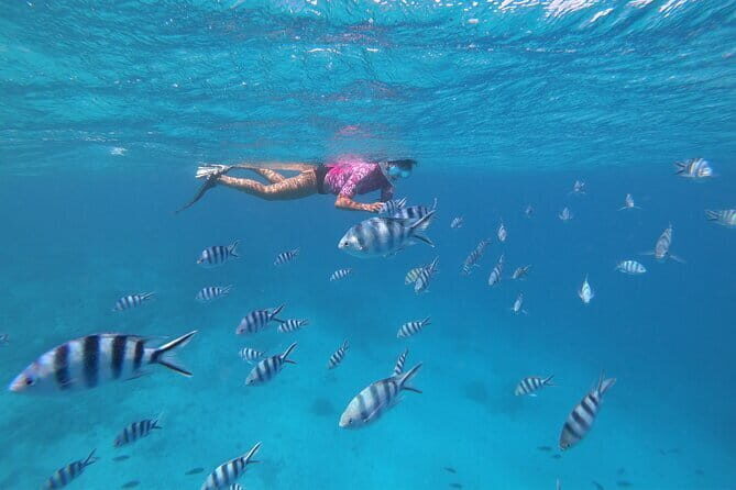 Half-Day Sailing Trip on the Lagoon of Tahiti Comments - The Social Side: Friendly Atmosphere and Personal Touches