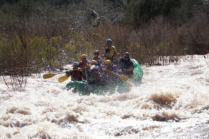 Half-Day Salt River Whitewater Rafting - Key Points