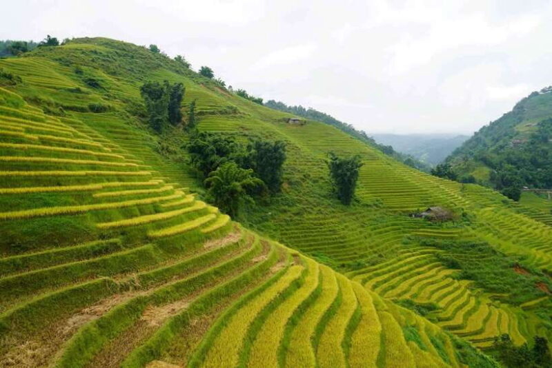 Half Day Sapa Trekking to Visit Lao Chai - Ta Van - Key Points