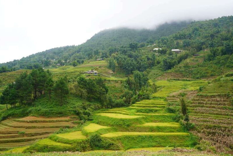 Half Day Sapa Trekking to Visit Lao Chai - Ta Van - FAQ