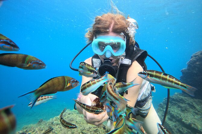 Half Day Scuba Diving @ Duden Waterfalls - Who Should Consider This Tour?