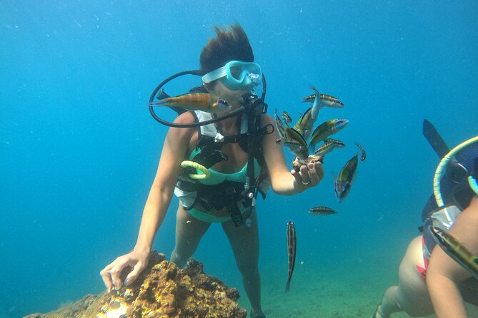 Half Day Scuba Diving @ Duden Waterfalls - The Sum Up