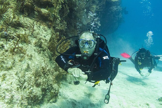 Half-Day Scuba Diving in Playa del Carmen for Small-Group - Equipment and Amenities