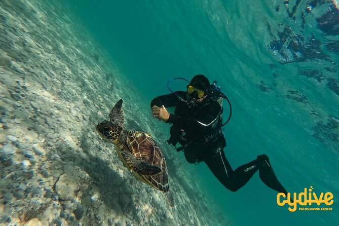 Half-Day Scuba Diving Tour - Discover Scuba Diving! - Logistics: Location, Timing, and Practical Details