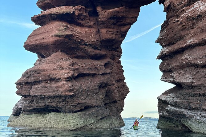 Half Day Sea Kayak Guided Tour - Exploring the Coastline
