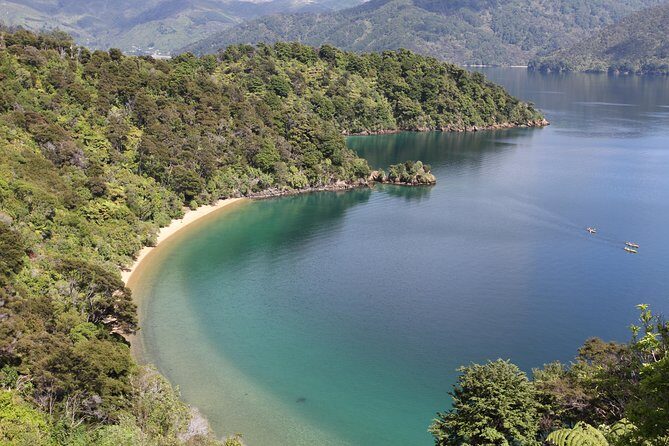 Half day Sea Kayak Guided Tour from Picton - Practical Tips for Participants