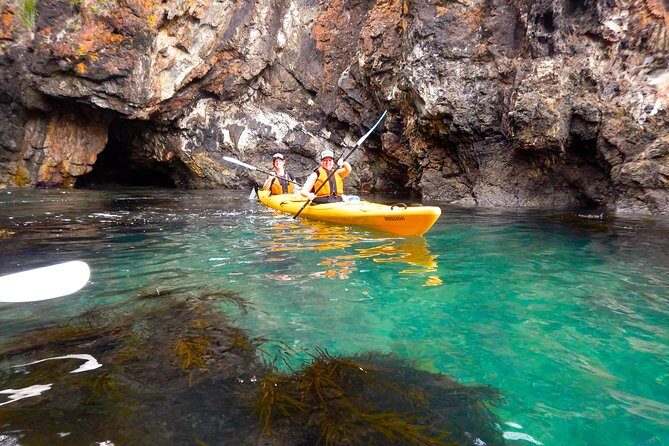 Half Day Sea Kayak Tour from Batemans Bay with Morning Tea and Snorkeling - The Sum Up: Why This Tour is a Smart Choice