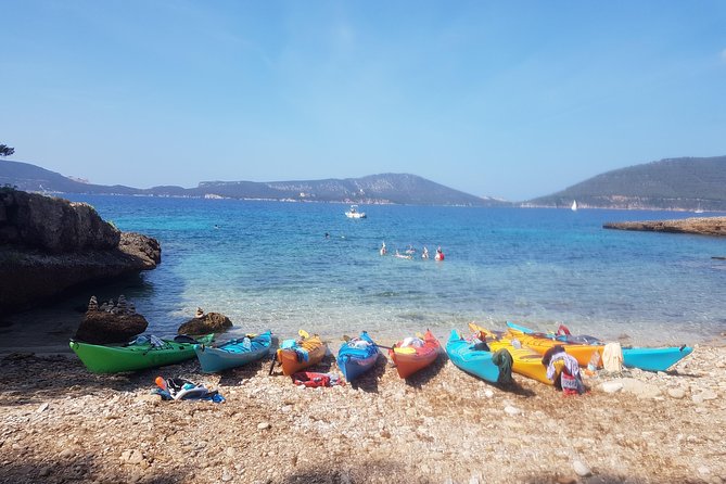 Half Day Sea Kayak Trip - Fitness and Accessibility