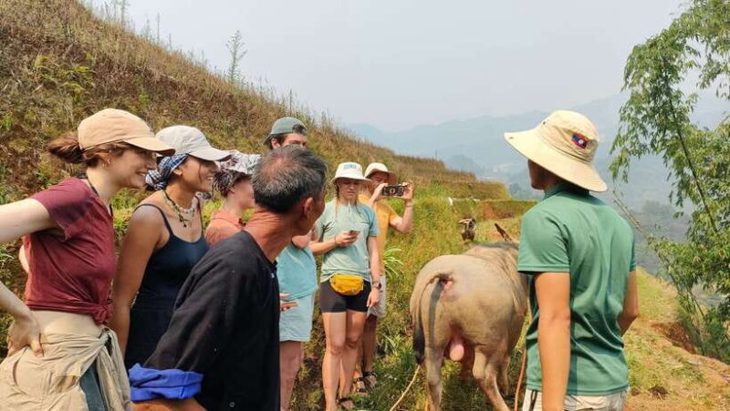 Half day Seasonal Job Experience private tour Mu Cang Chai - Key Points