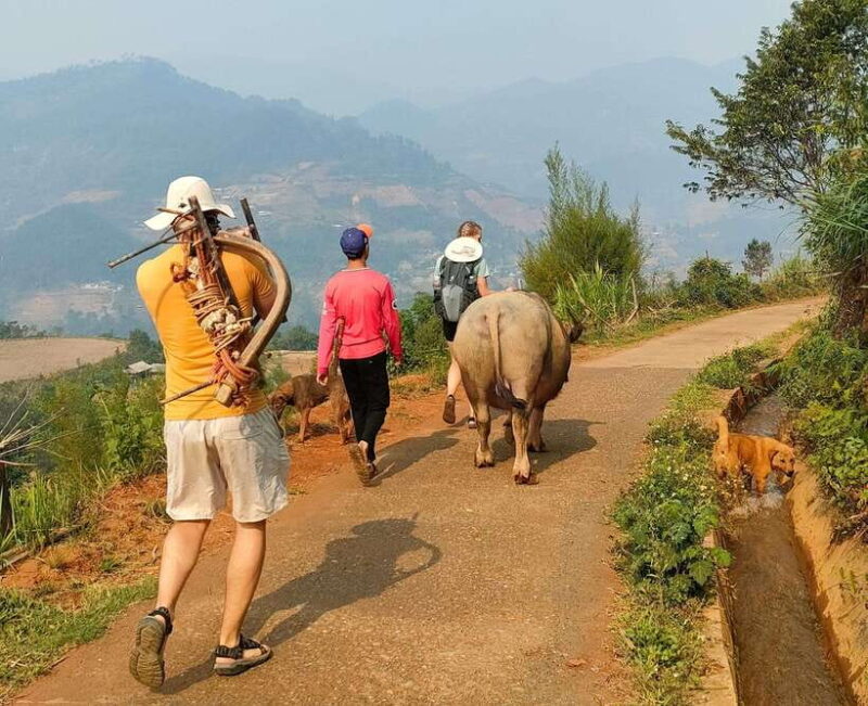 Half day Seasonal Job Experience private tour Mu Cang Chai - Practical Details and Value