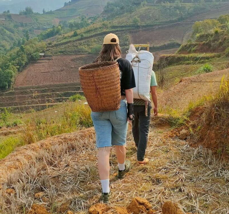 Half day Seasonal Job Experience private tour Mu Cang Chai - Who Will Love This Tour?
