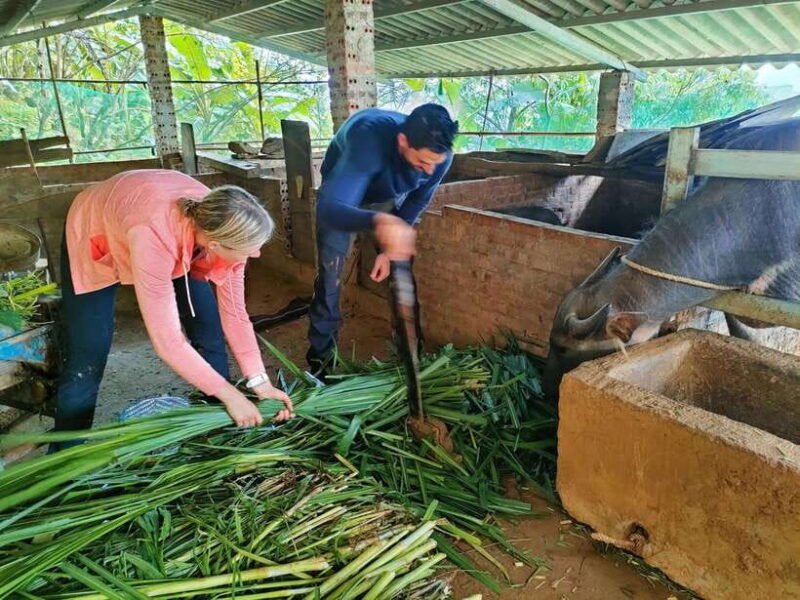 Half day Seasonal Job Experience private tour Mu Cang Chai - Final Thoughts: Is It Worth It?