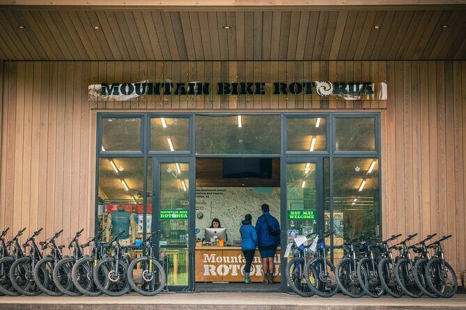 Half-Day Self-Guided Mountain Bike Journey through Whakarewarewa Redwood Forest - The Experience in Context