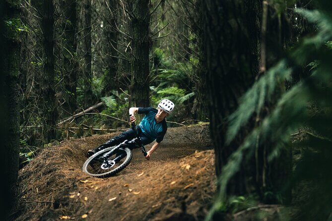 Half-Day Self-Guided Mountain Bike Journey through Whakarewarewa Redwood Forest - The Sum Up
